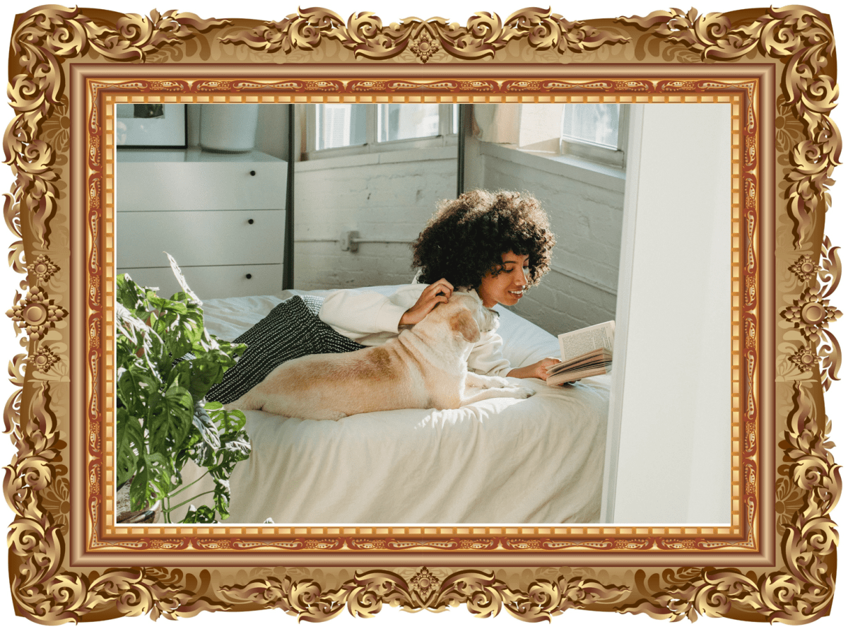 Pet Hotel & Daycare – Max's Pet Market & Salon